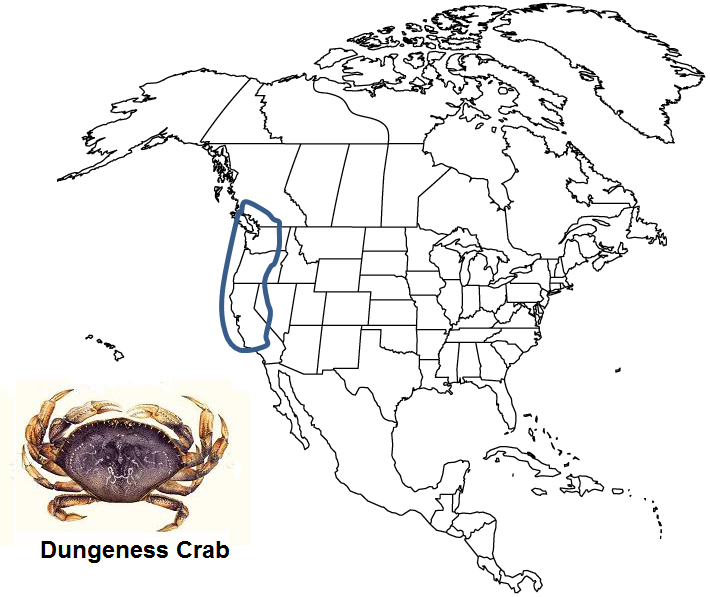 Crabbing Tips: Where to Crab -Crabbing HQ